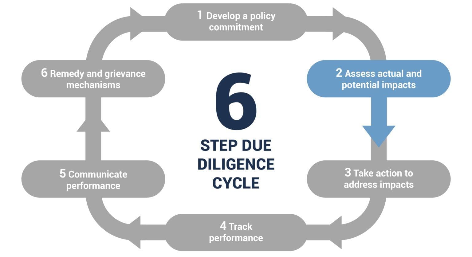 Forced Labour • Business & Human Rights Navigator
