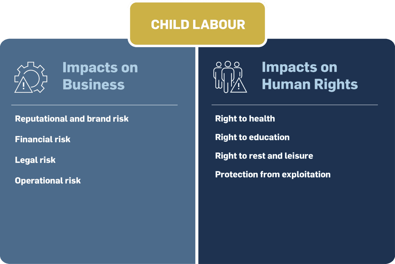 Addressing Child Labour in Business Operations and Supply Chains | BHR ...