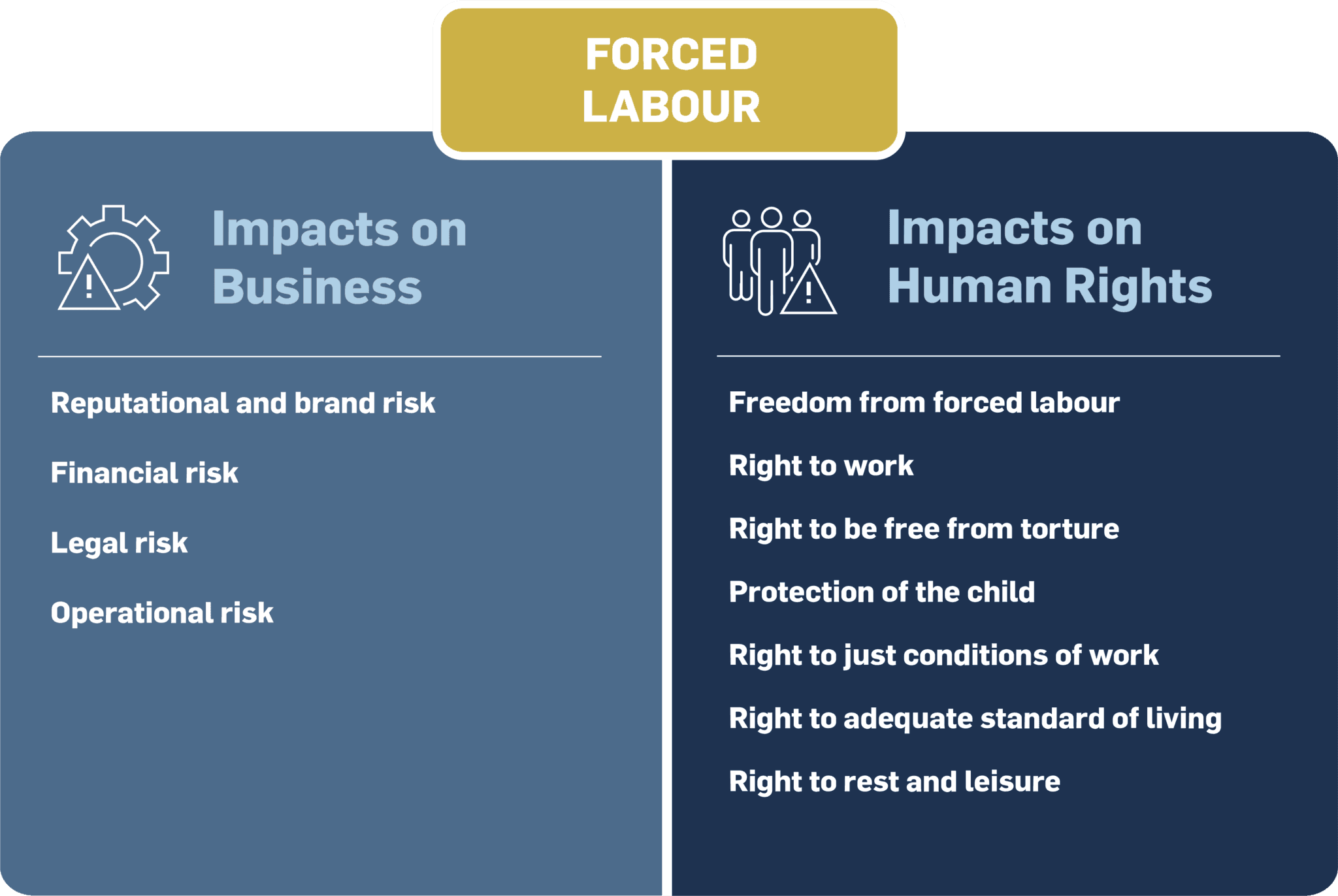 Forced Labour • Business & Human Rights Navigator