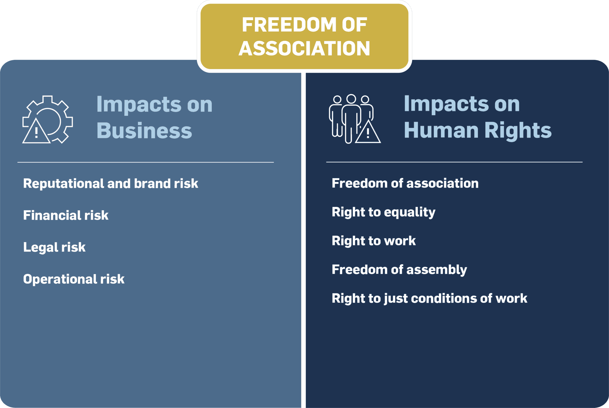 Freedom of Association • Business & Human Rights Navigator