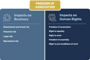 Freedom of Association • Business & Human Rights Navigator