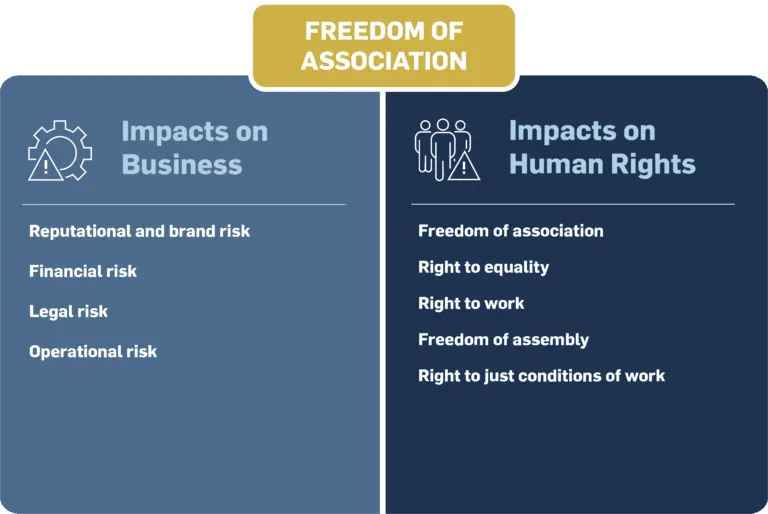 Freedom of Association • Business & Human Rights Navigator