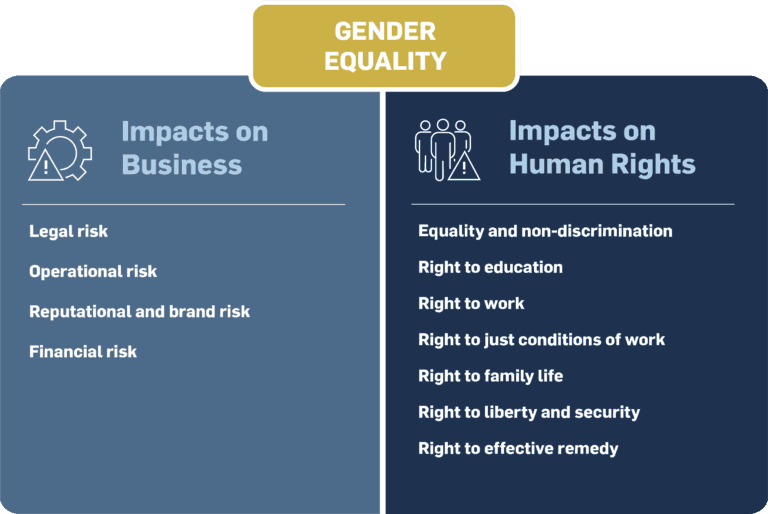 Gender Equality • Business And Human Rights Navigator